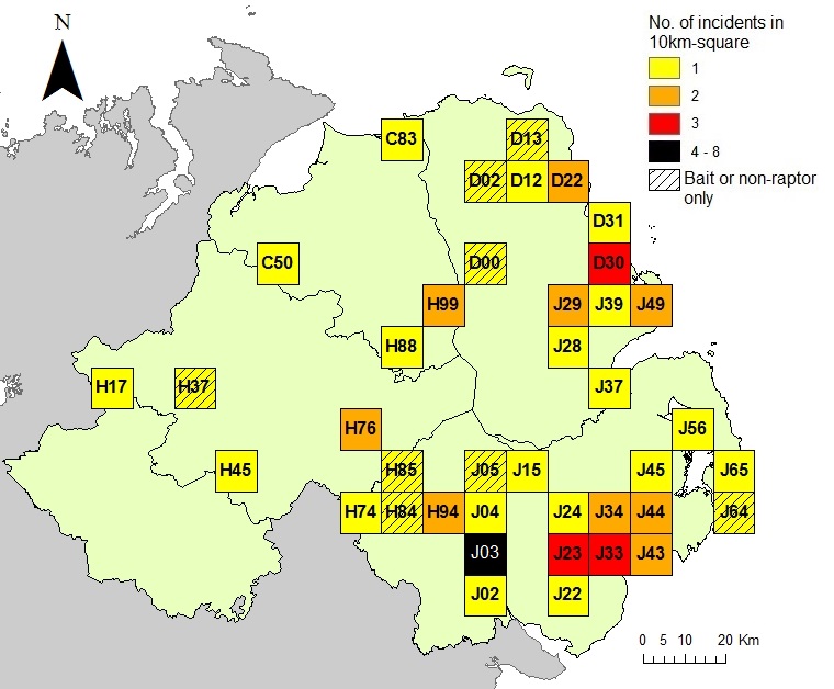 Bird of prey killing widespread across Northern Ireland – Birds of prey ...
